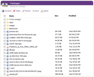 How can I access my uploaded files from the web? - SecurityCoverage